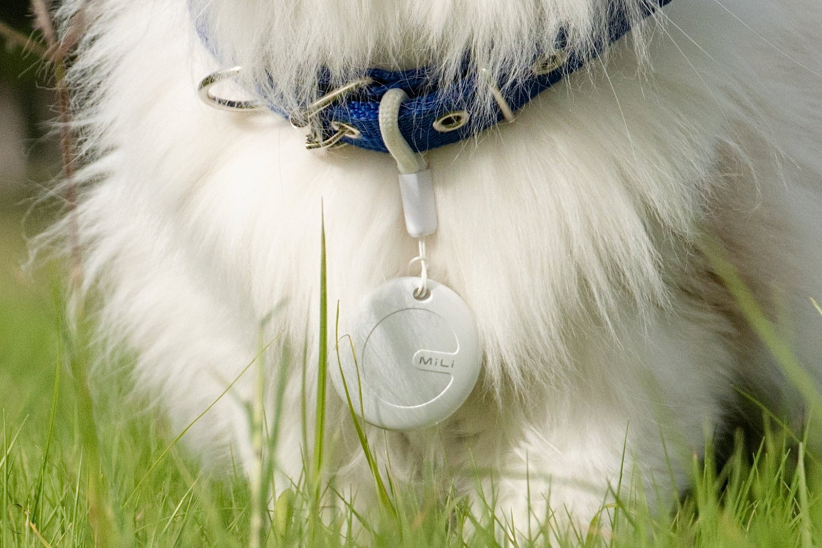 MiTag - Item Finder, Locator, Bluetooth Tracking with Holder Case | MiLi