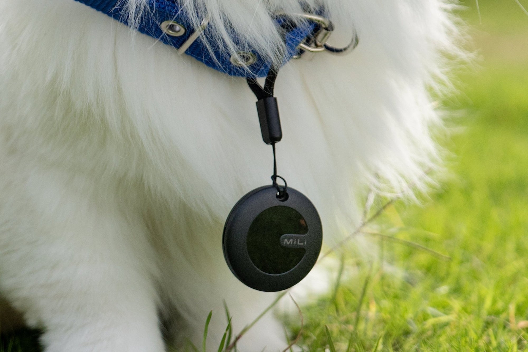 MiTag Go - Android Tag Licensed By Google – MiLi